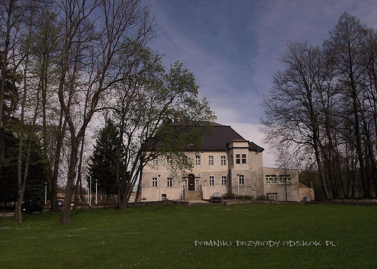 Bukowiec park | Pomniki przyrody