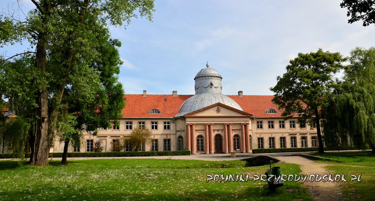 Milicz – stawy, zabytki i przyroda. | Pomniki przyrody