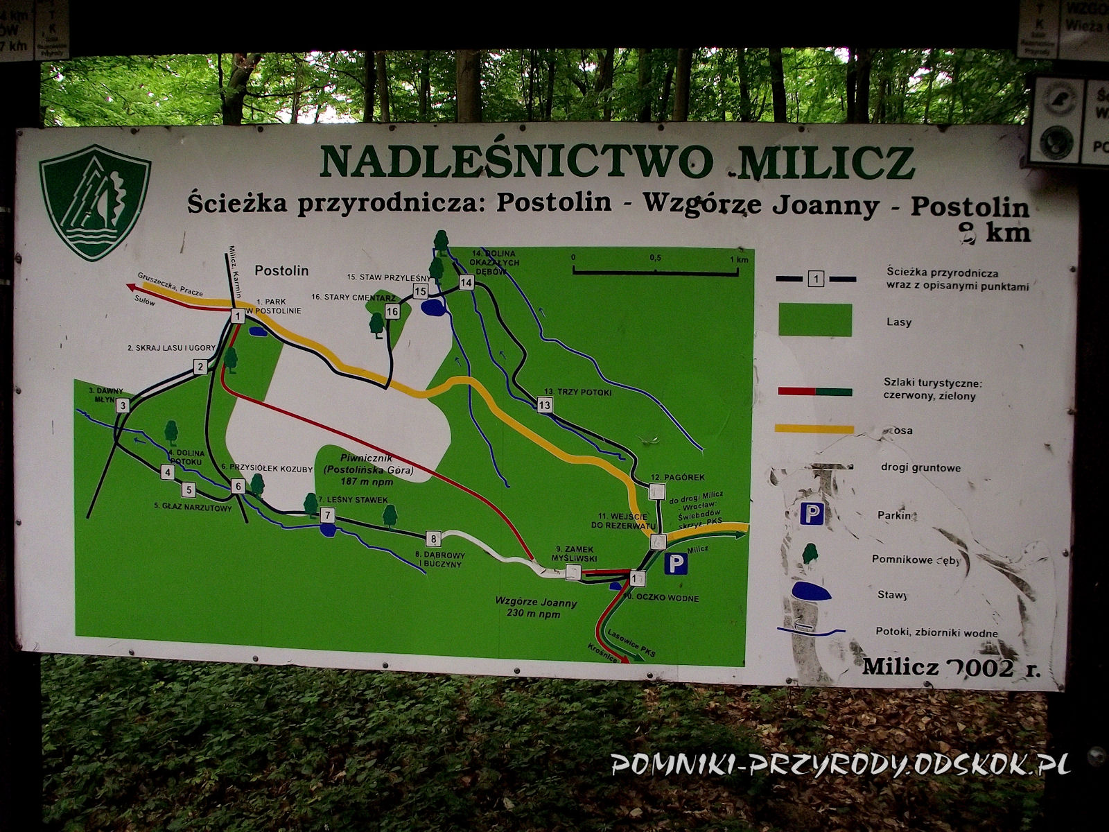 Pomniki przyrody w Postolinie (gm. Milicz). | Pomniki przyrody