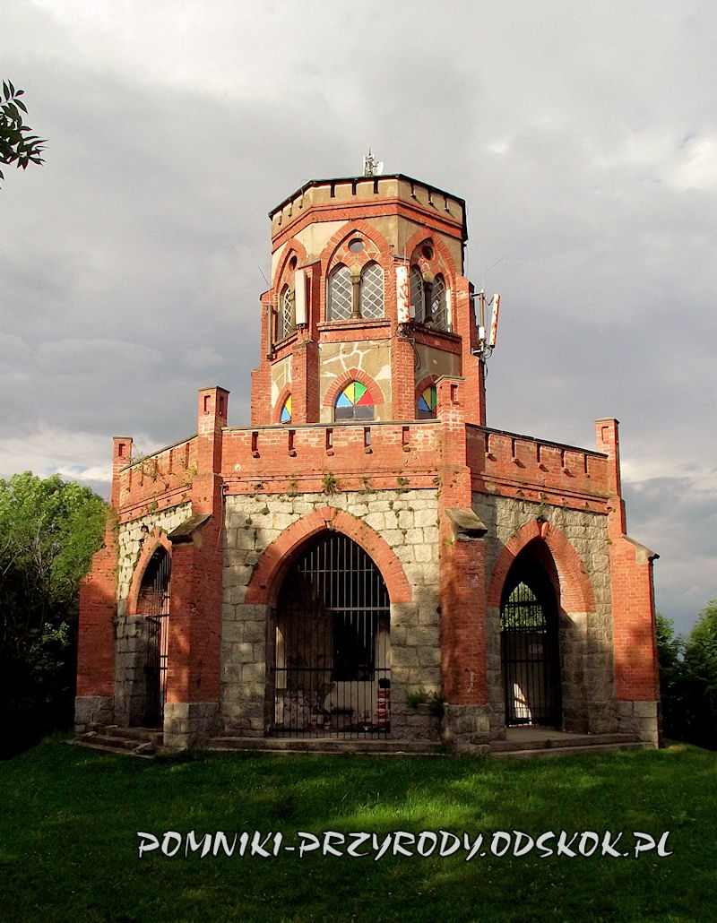 gmina Dobromierz | Pomniki przyrody