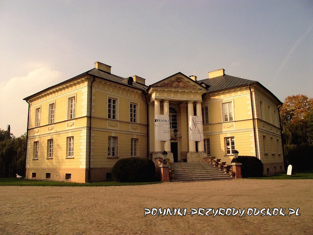 Dobrzyca park | Pomniki przyrody