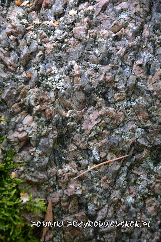 Pomnikowy głaz w Trupiance (gm. Lutomiersk, łódzkie). | Pomniki przyrody