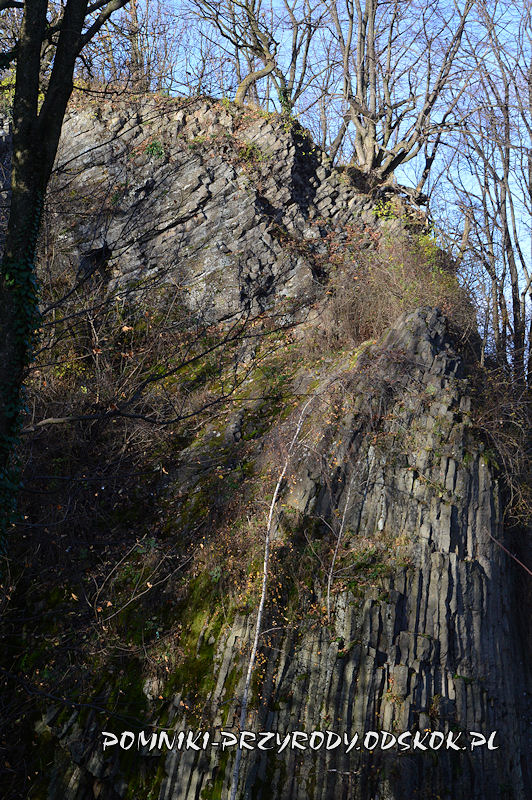 Małe Organy Myśliborskie na wzgórzu Rataj (gm. Paszowice, dolnośląskie ...